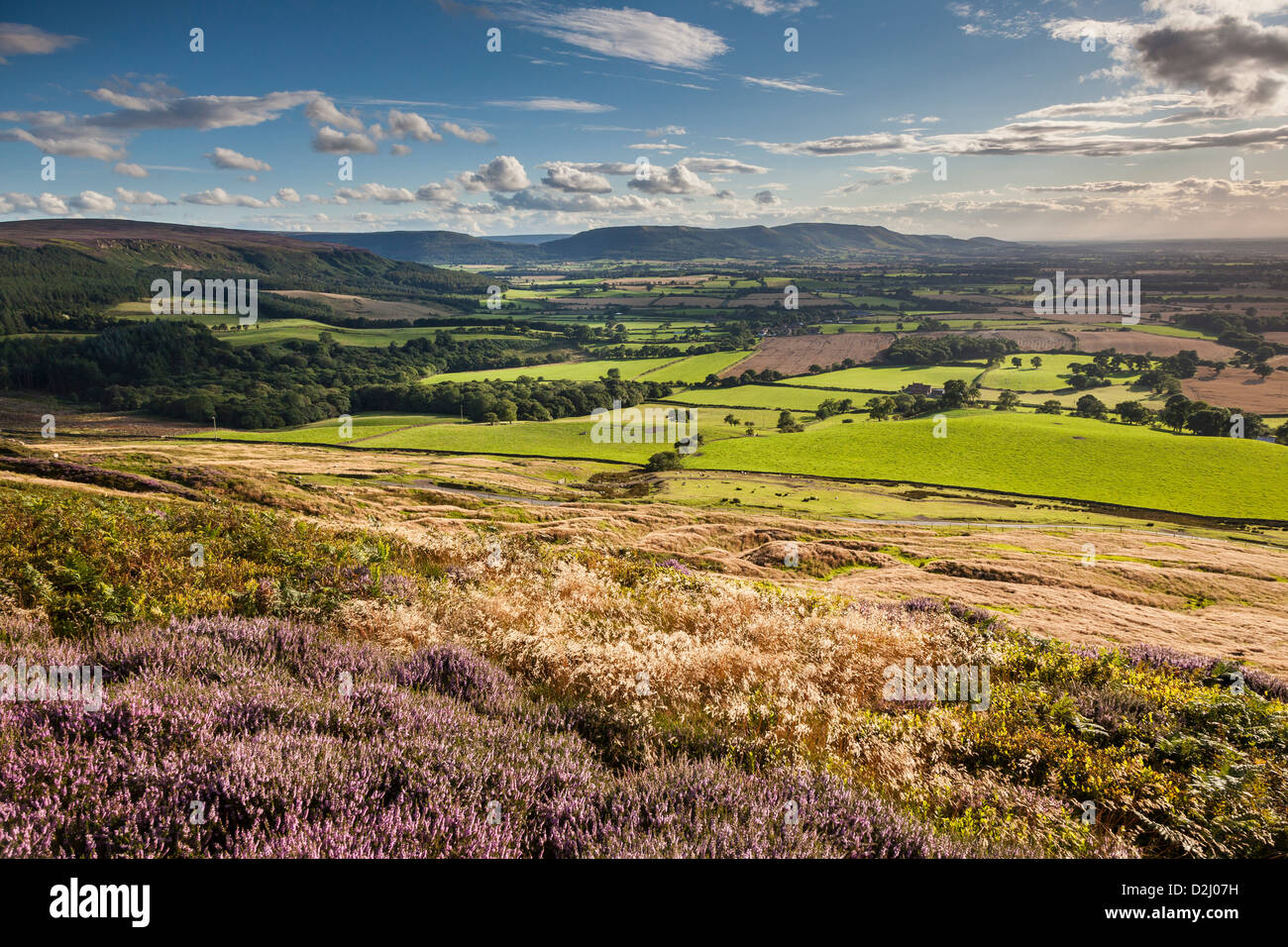 The Cleveland Hills from Warren Moor, North York Moors National Park ...