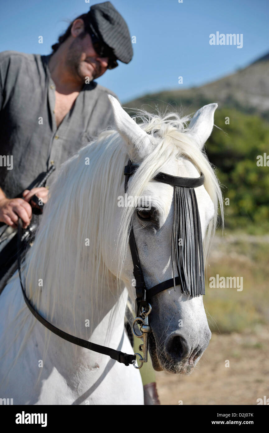 Man Riding Andalusian Horse High Resolution Stock Photography and ...
