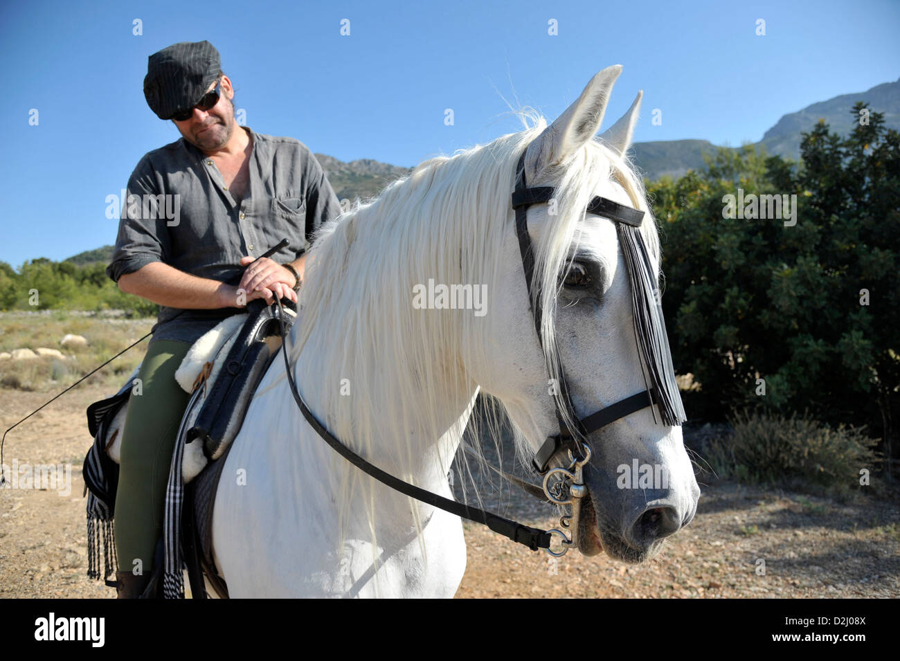 Man riding andalusian horse hi-res stock photography and images - Alamy