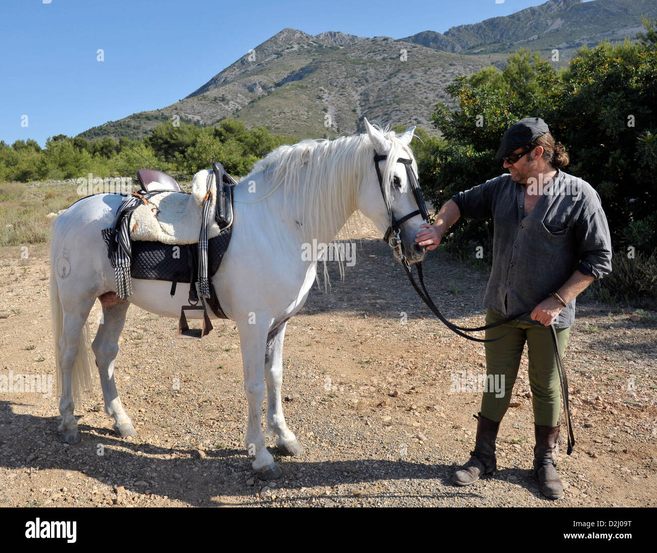 spanish man in his forties and his white Andalusian Gelding outside in ...