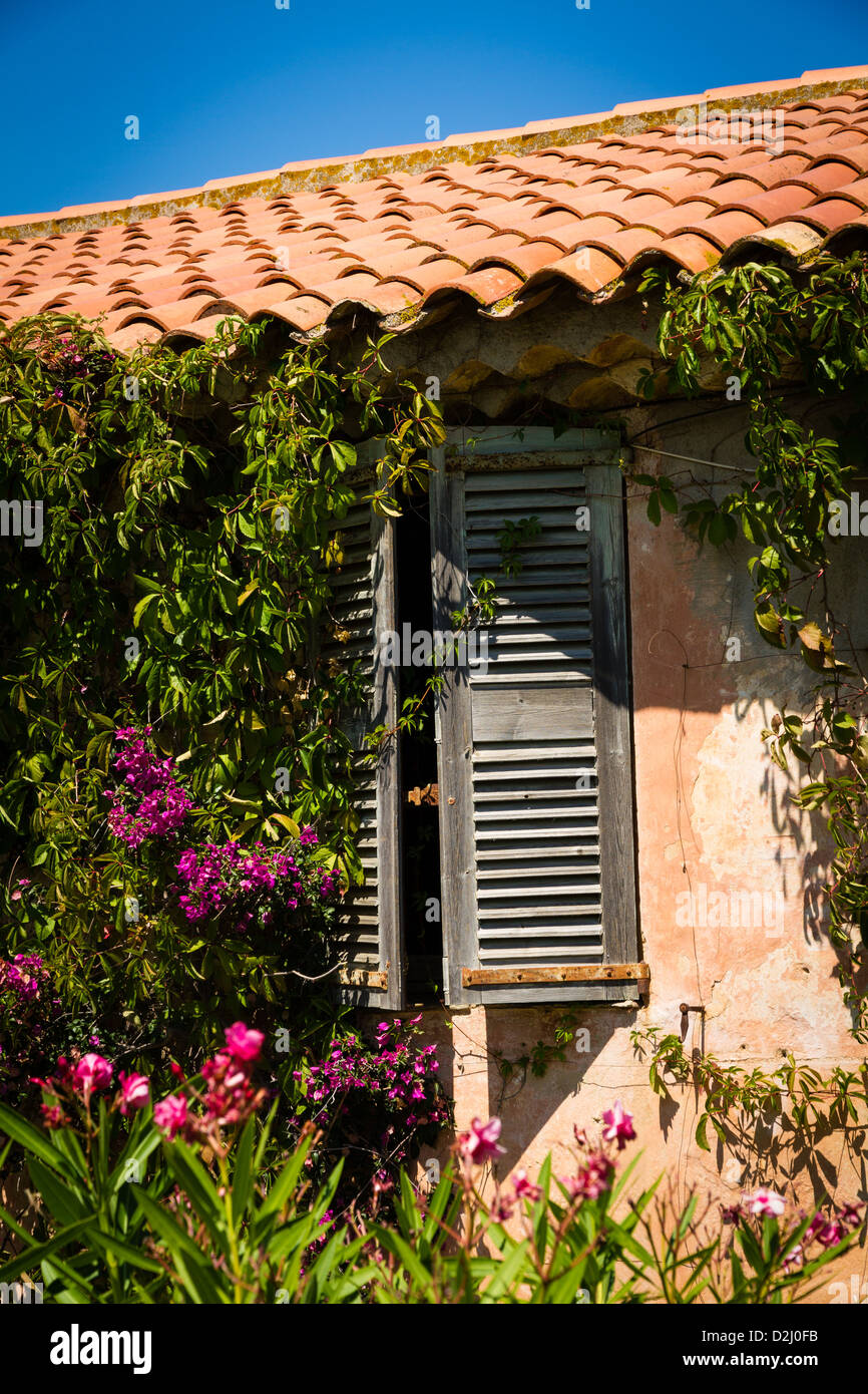 Shuttered shutters shutter hi-res stock photography and images - Alamy