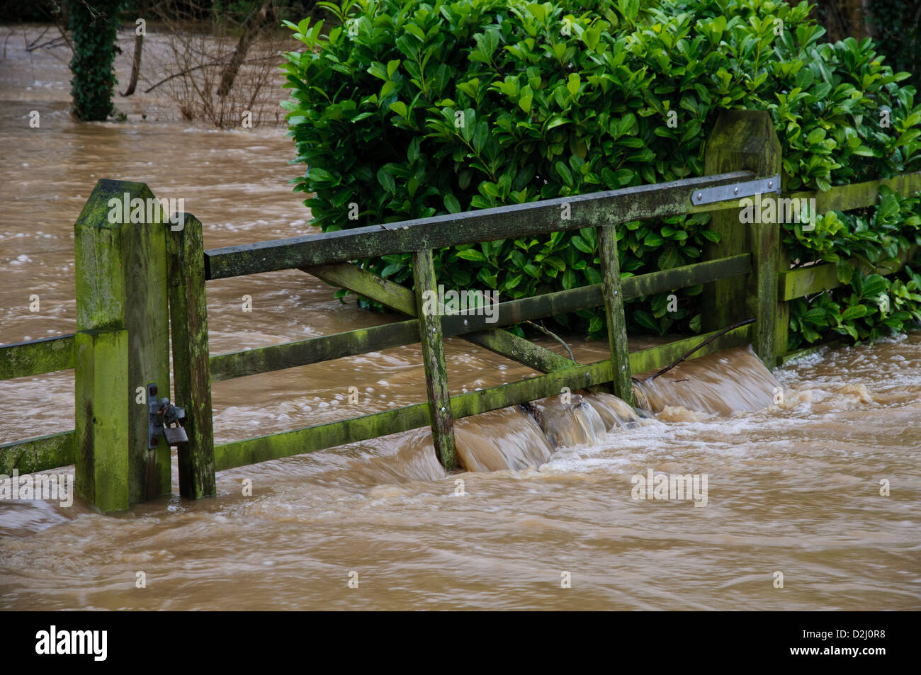 flood waters from Cod Beck, Thirsk, which has burst its banks, pouring ...