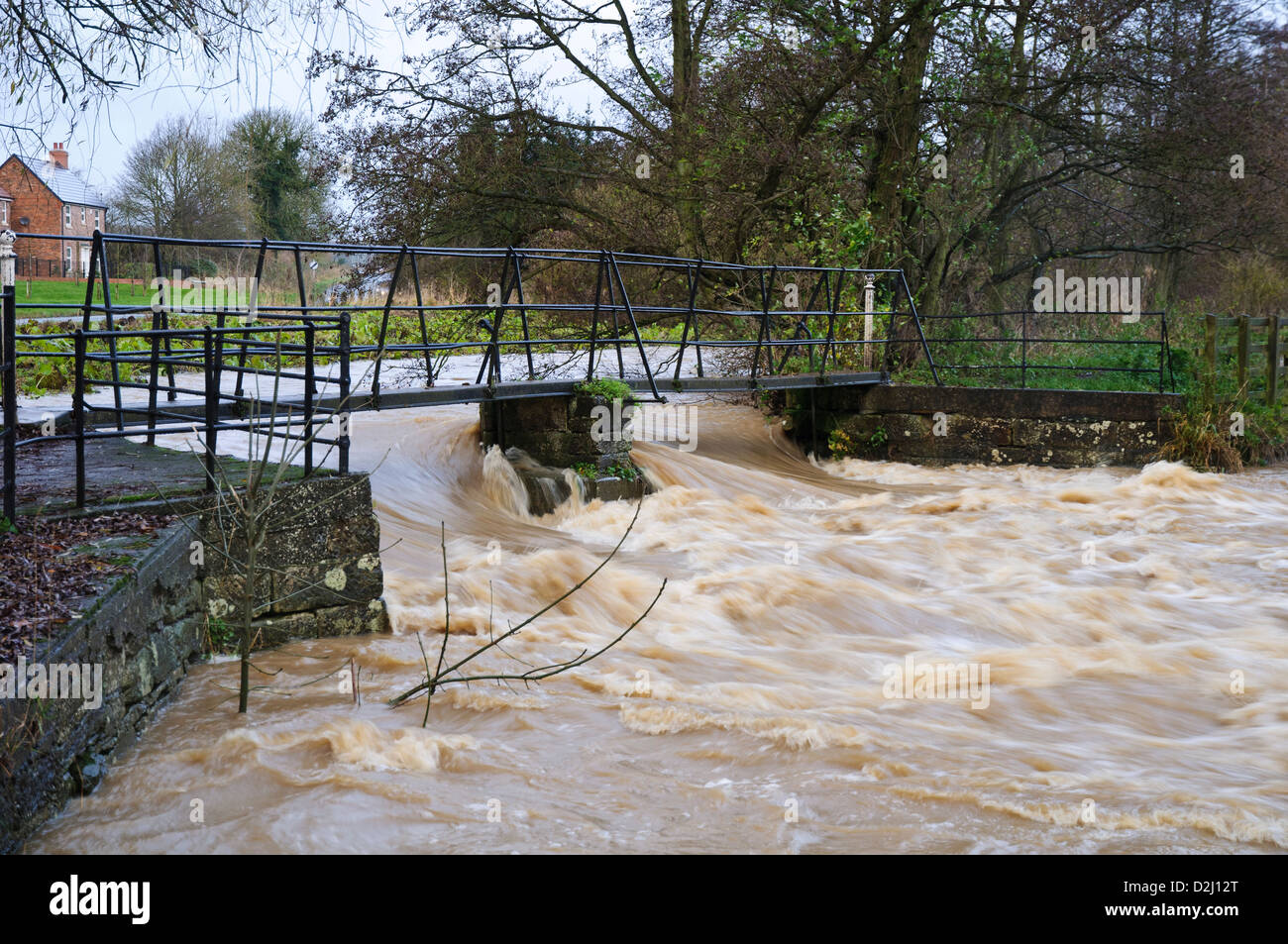 Swollen beck hi-res stock photography and images - Alamy