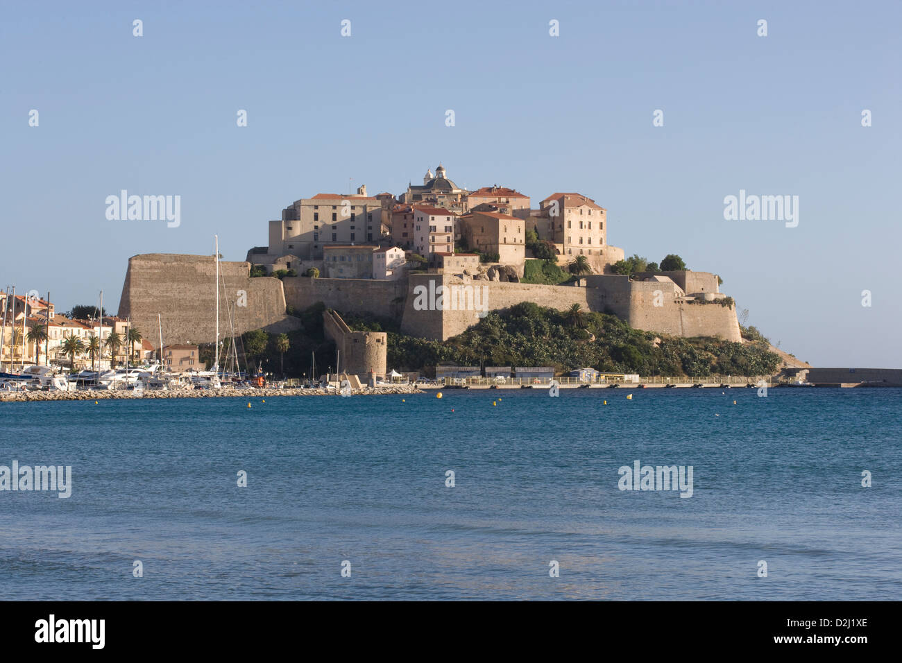 Corsica: Calvi Citadelle Stock Photo - Alamy
