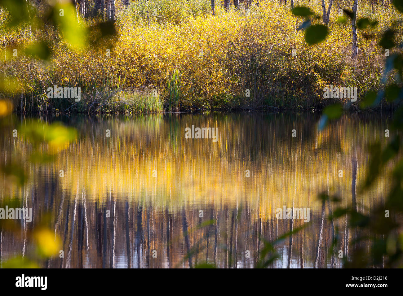 Reflection during the day hi-res stock photography and images - Alamy