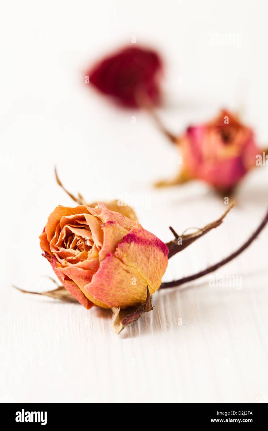 Dried red orange hi-res stock photography and images - Alamy