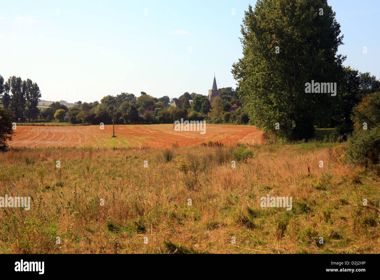 View across the fields towards Duck Street and Elham church, Elham in ...