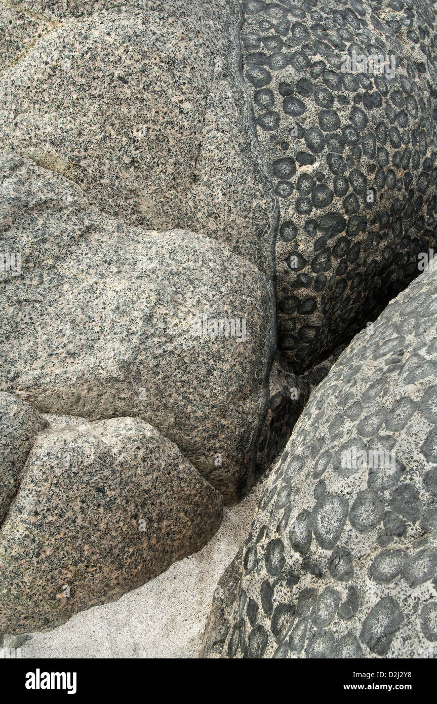 Outcrop of orbicular granite - detail. Orbicular Granite Nature ...
