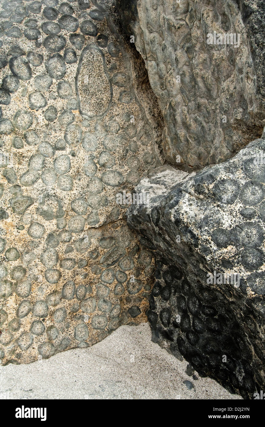 Outcrop of orbicular granite - detail. Orbicular Granite Nature ...