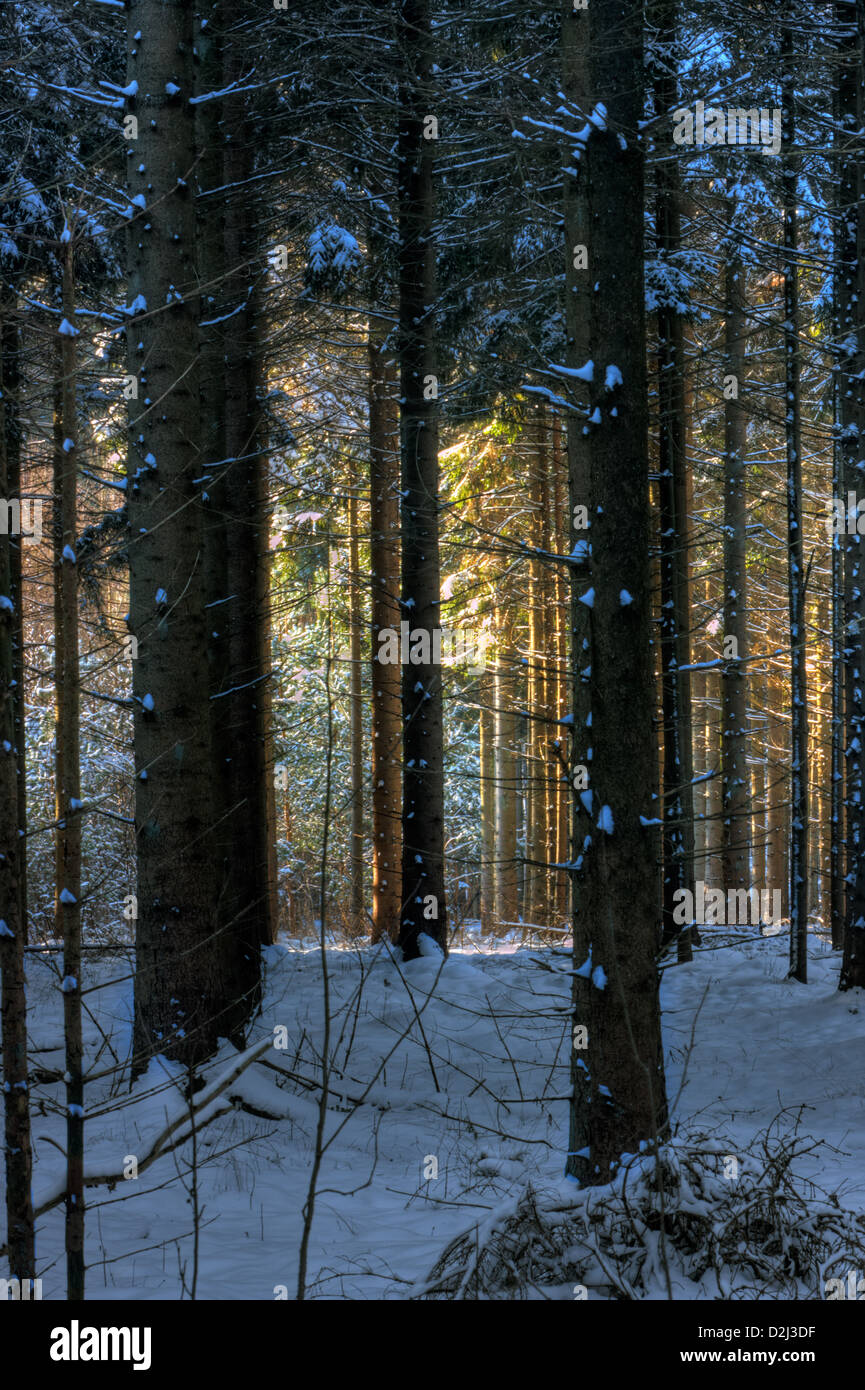 Spots of snow hi-res stock photography and images - Alamy