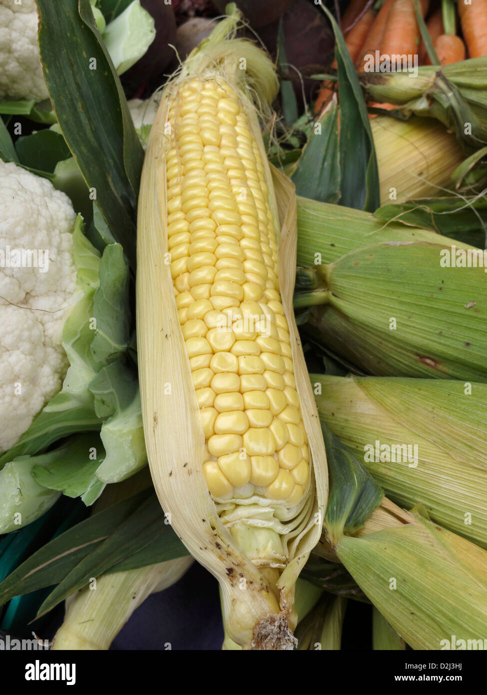 Sweetcorn hi-res stock photography and images - Alamy