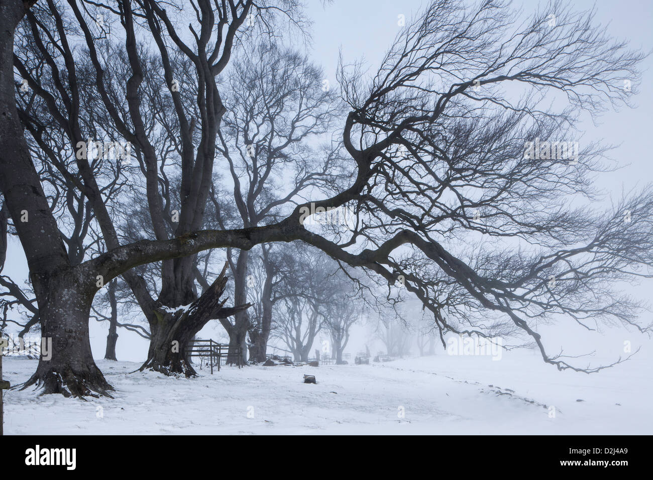 Linley shropshire hi-res stock photography and images - Alamy