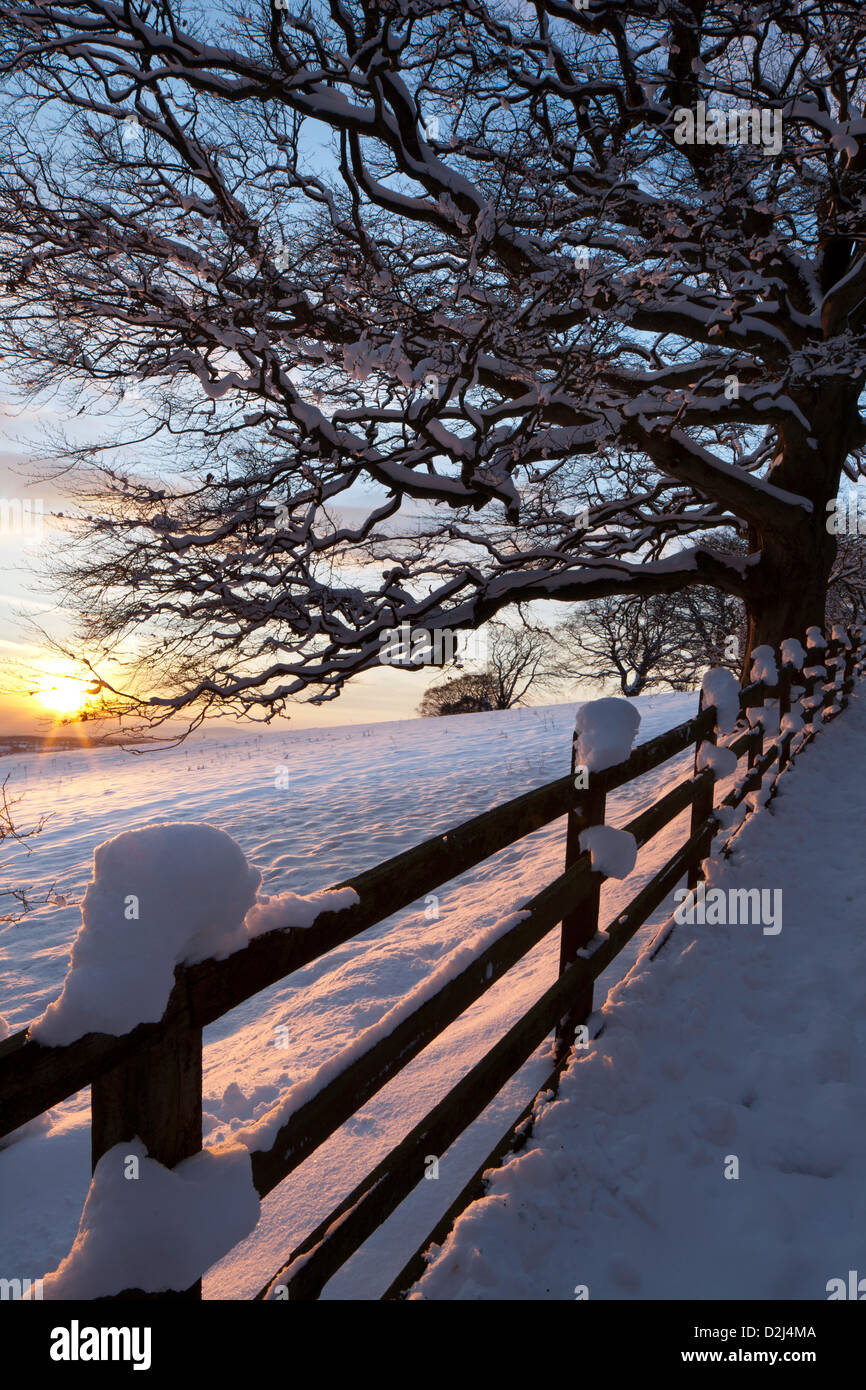 English winter hi-res stock photography and images - Alamy