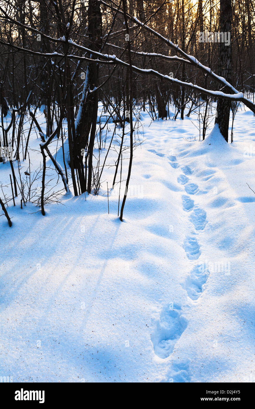 Early step hi-res stock photography and images - Alamy