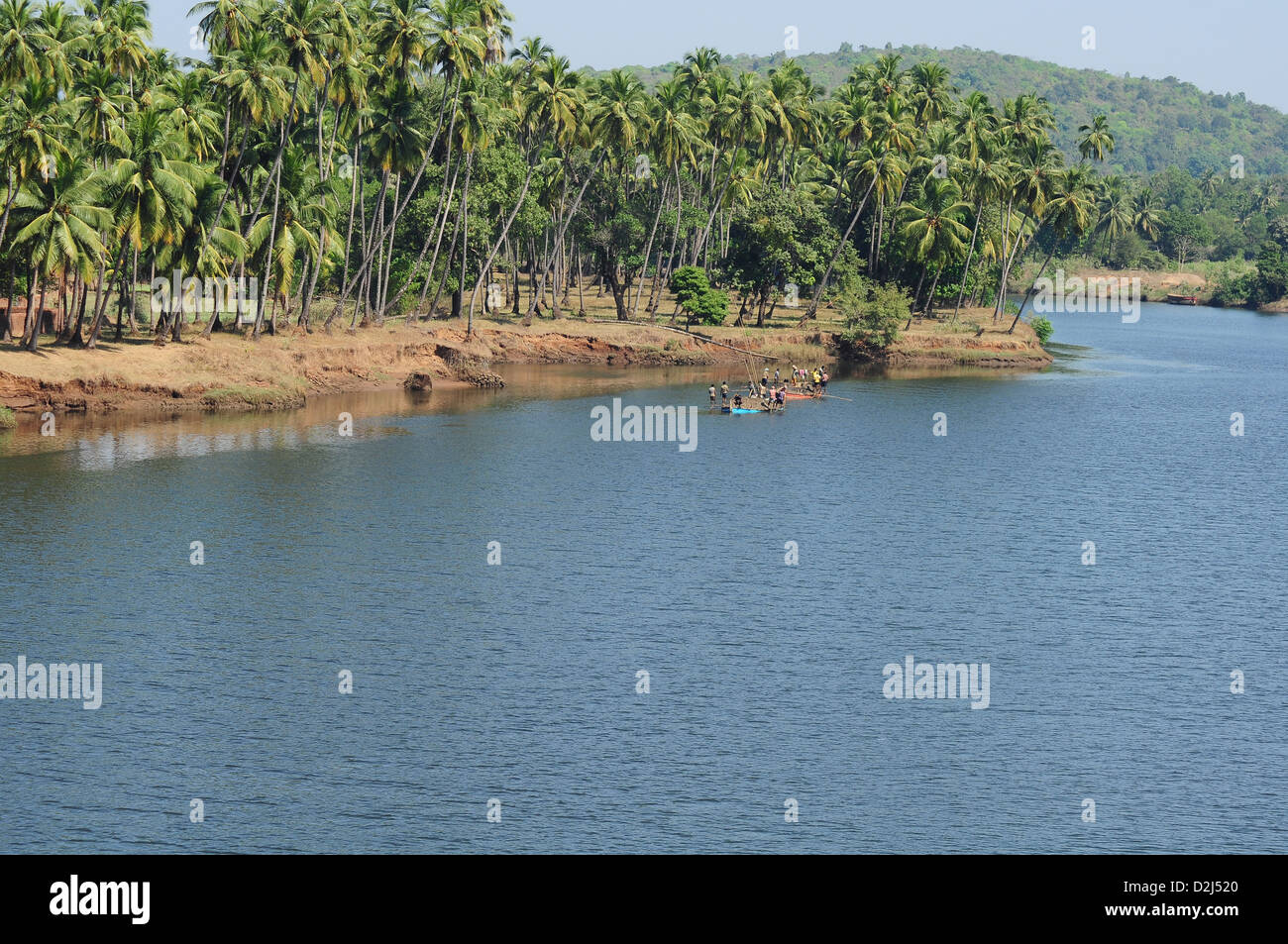 Landscape with palms trees and serene water, Goa, India Stock Photo - Alamy