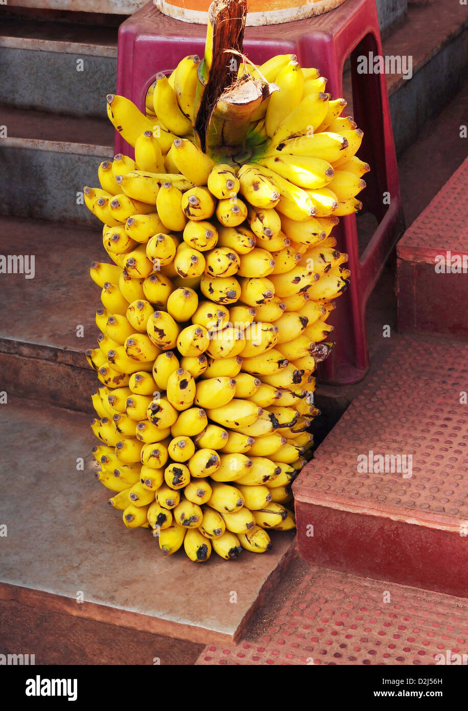 A bunch of bananas Stock Photo - Alamy