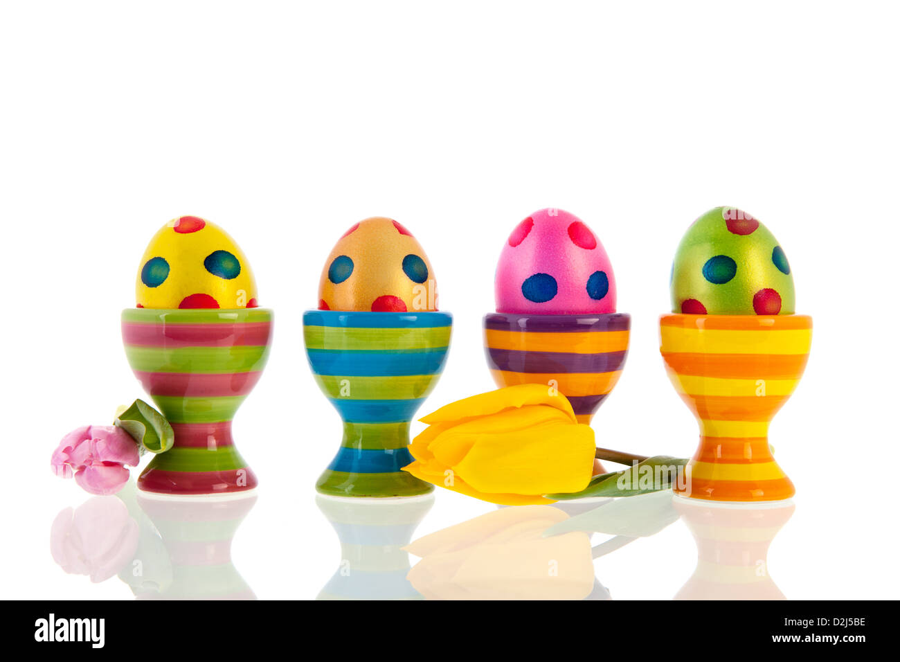 Colorful easter eggs in cups and tulips isolated over white background ...