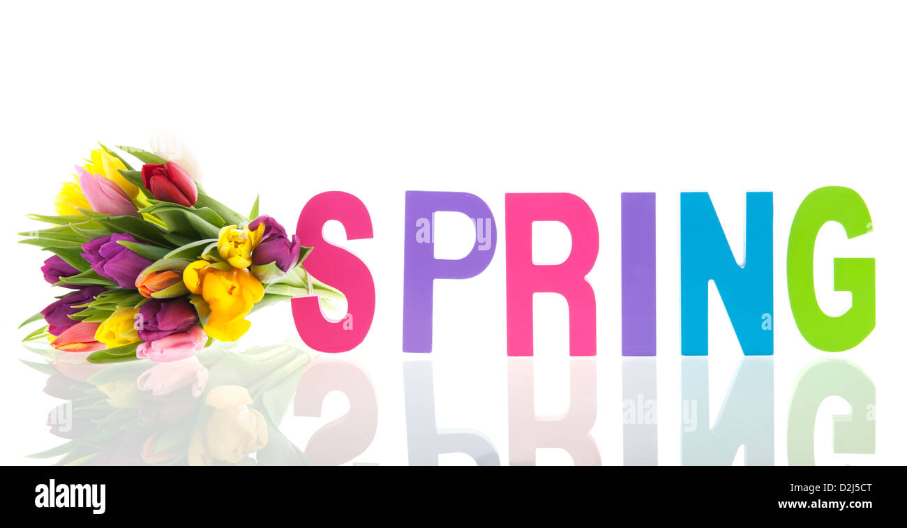 Colorful spring with tulips and text isolated over white background ...