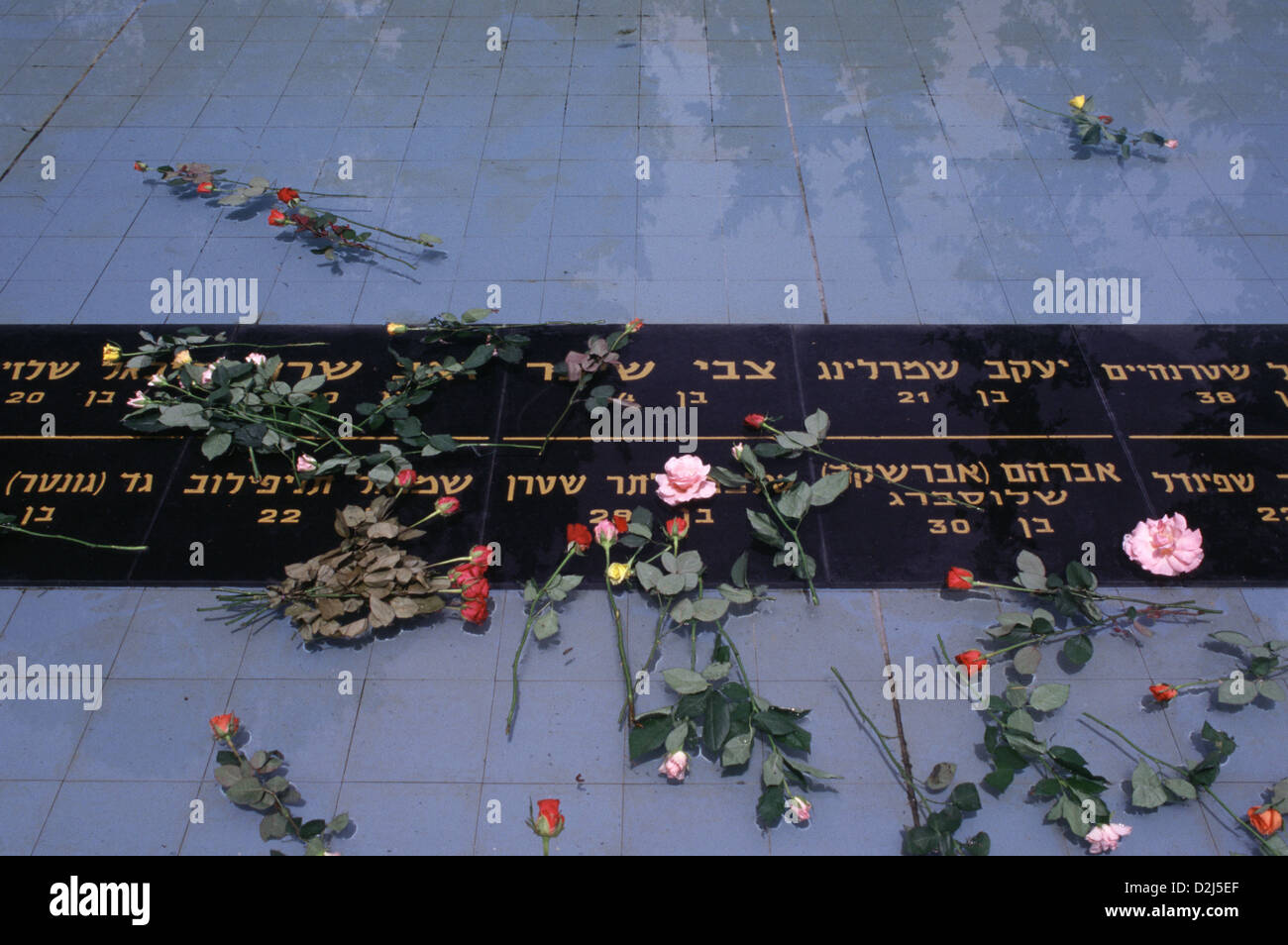Flowers placed over the memorial pool to the 140 Jewish soldiers who ...