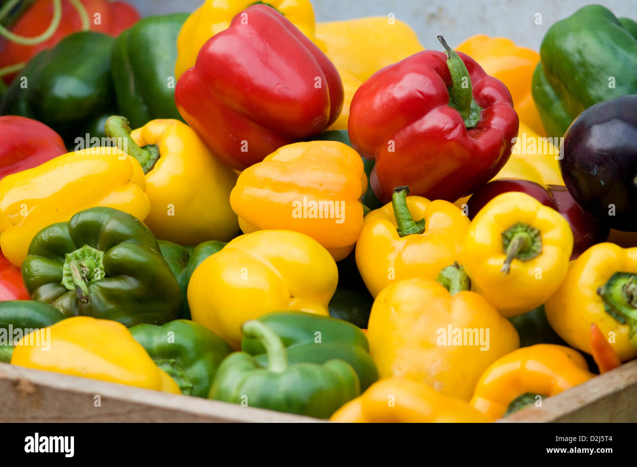 capsicum stall, little india, singapore Stock Photo - Alamy