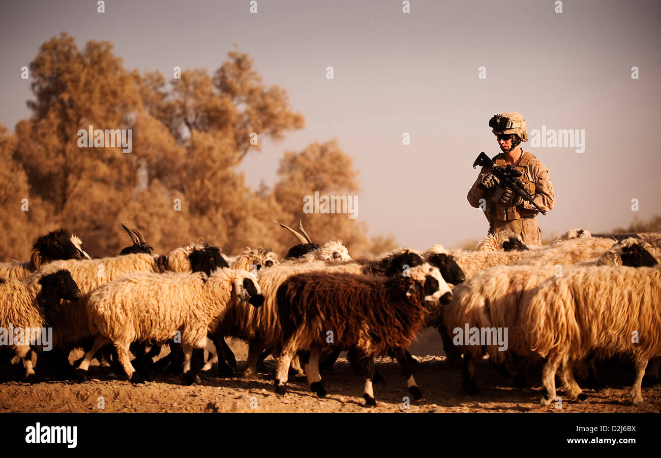 Afghanistan farmers High Resolution Stock Photography and Images - Alamy
