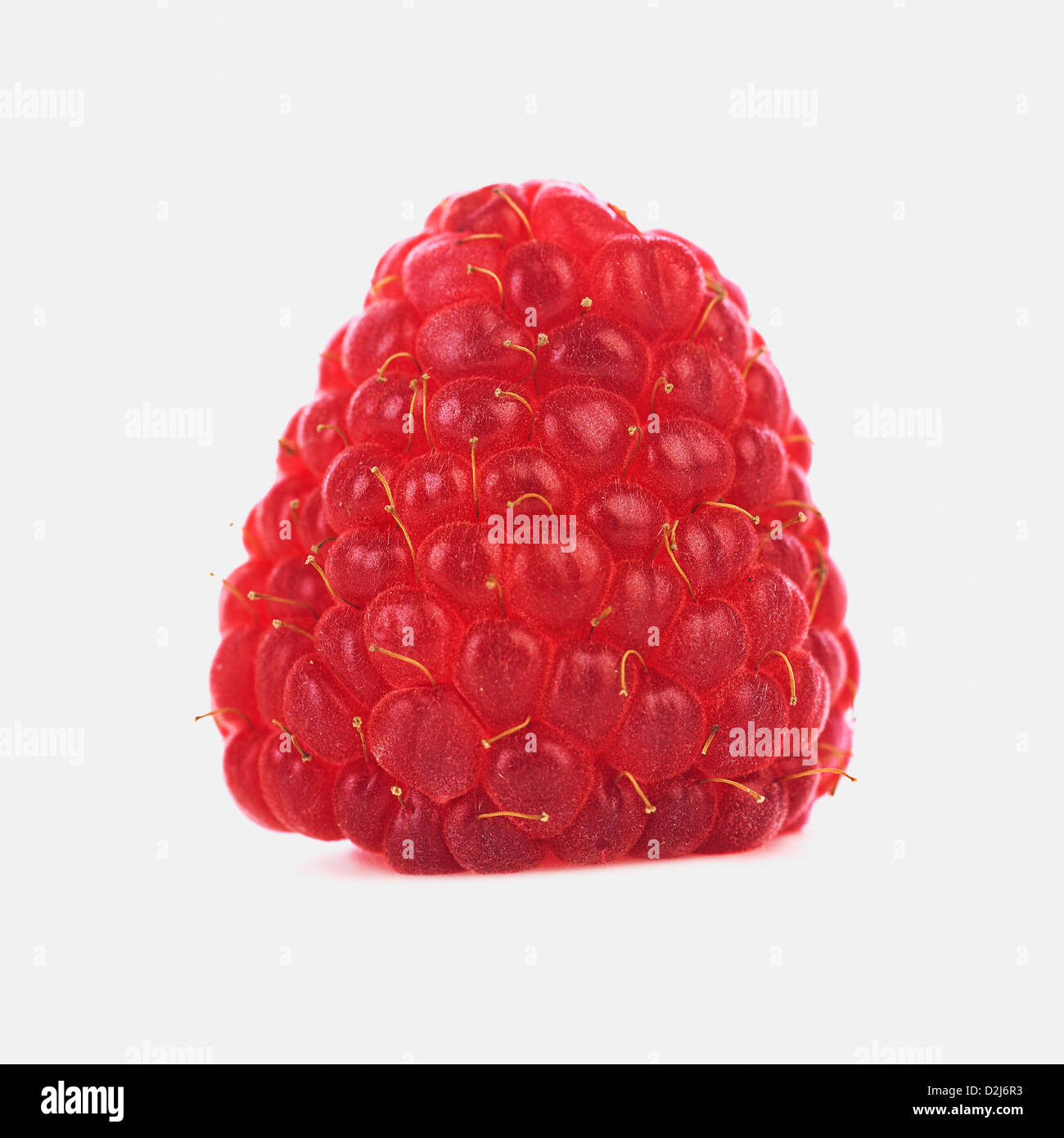 Raspberry on a white background Stock Photo - Alamy