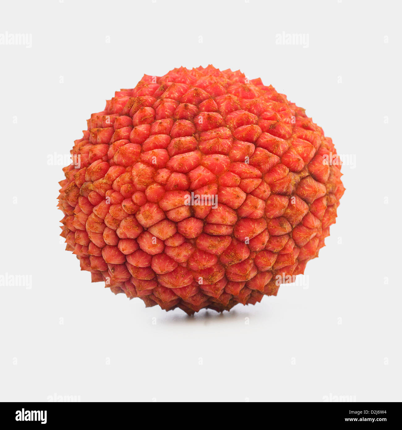Lychee (litchi chinensis) on a white background Stock Photo - Alamy