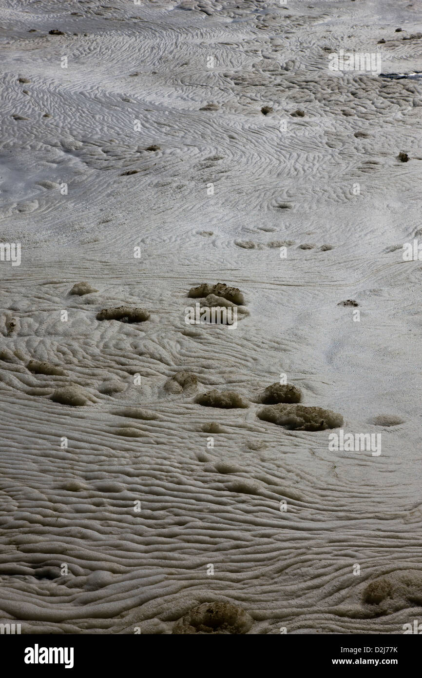 Scum, bubbles and foam on the surface of the river water, Niagara Falls ...
