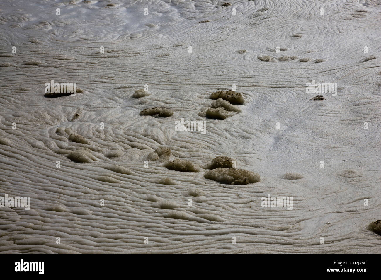 Scum, bubbles and foam on the surface of the river water, Niagara Falls ...
