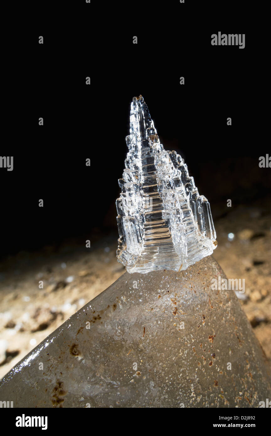 Thimble-sized ice-crystal christmas tree; coleman alberta canada Stock ...