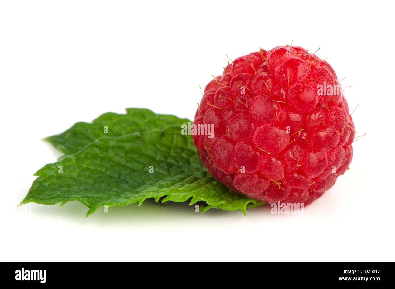 Ripe red raspberry on white background Stock Photo - Alamy