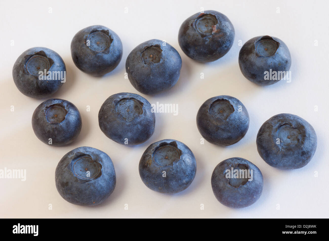 Fresh organic blueberries on white background Stock Photo - Alamy