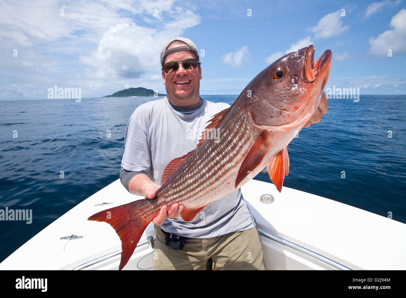 Man holds fresh caught mullet snapper; panama Stock Photo - Alamy