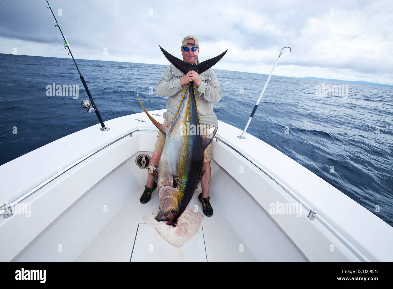 Man holding a fresh caught yellowfin tuna; panama Stock Photo - Alamy