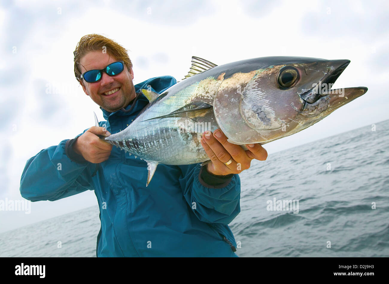 Man holding fresh caught bluefin tuna; massachusetts united states of ...