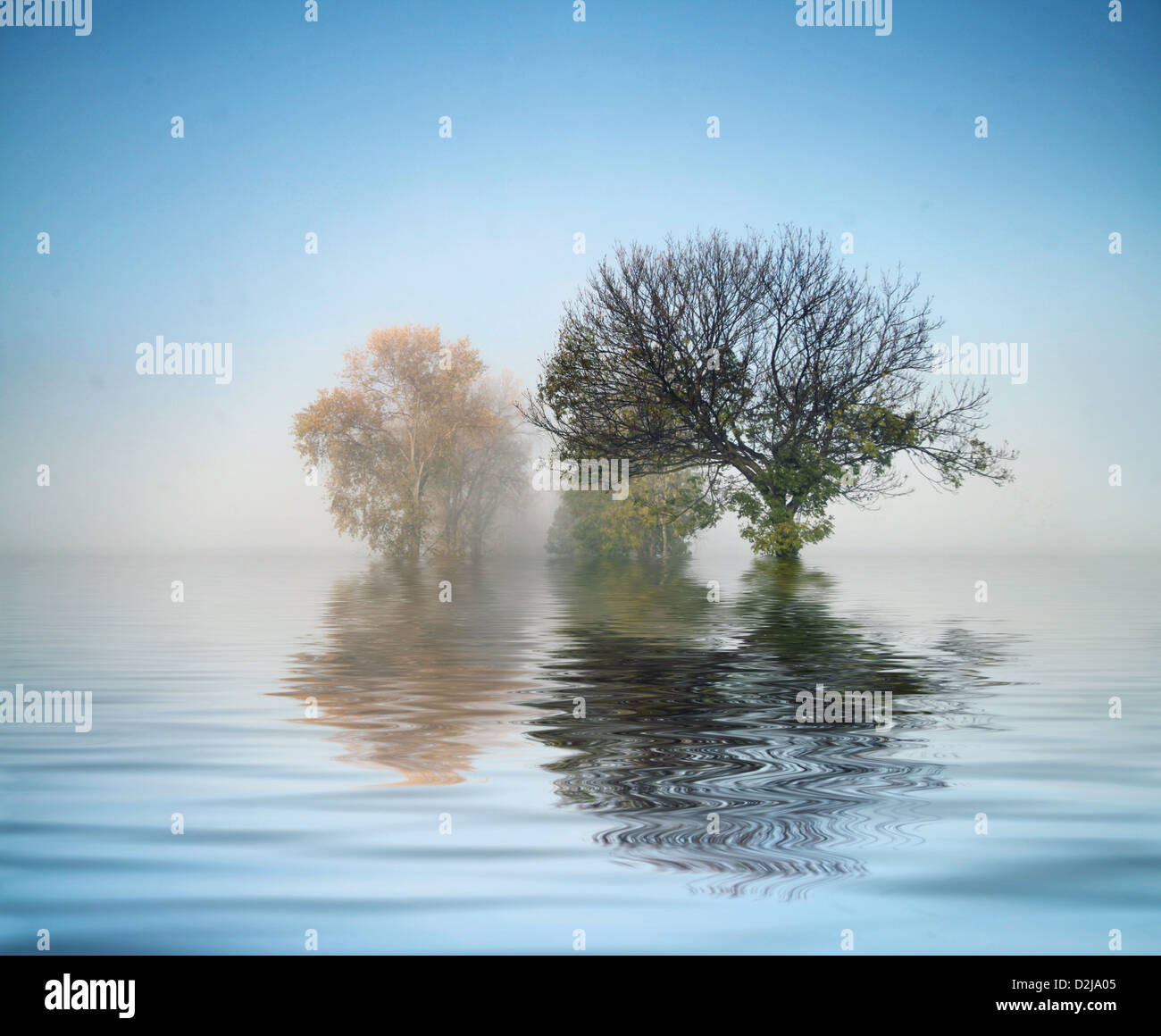 Marvelous picture of the nature Stock Photo - Alamy