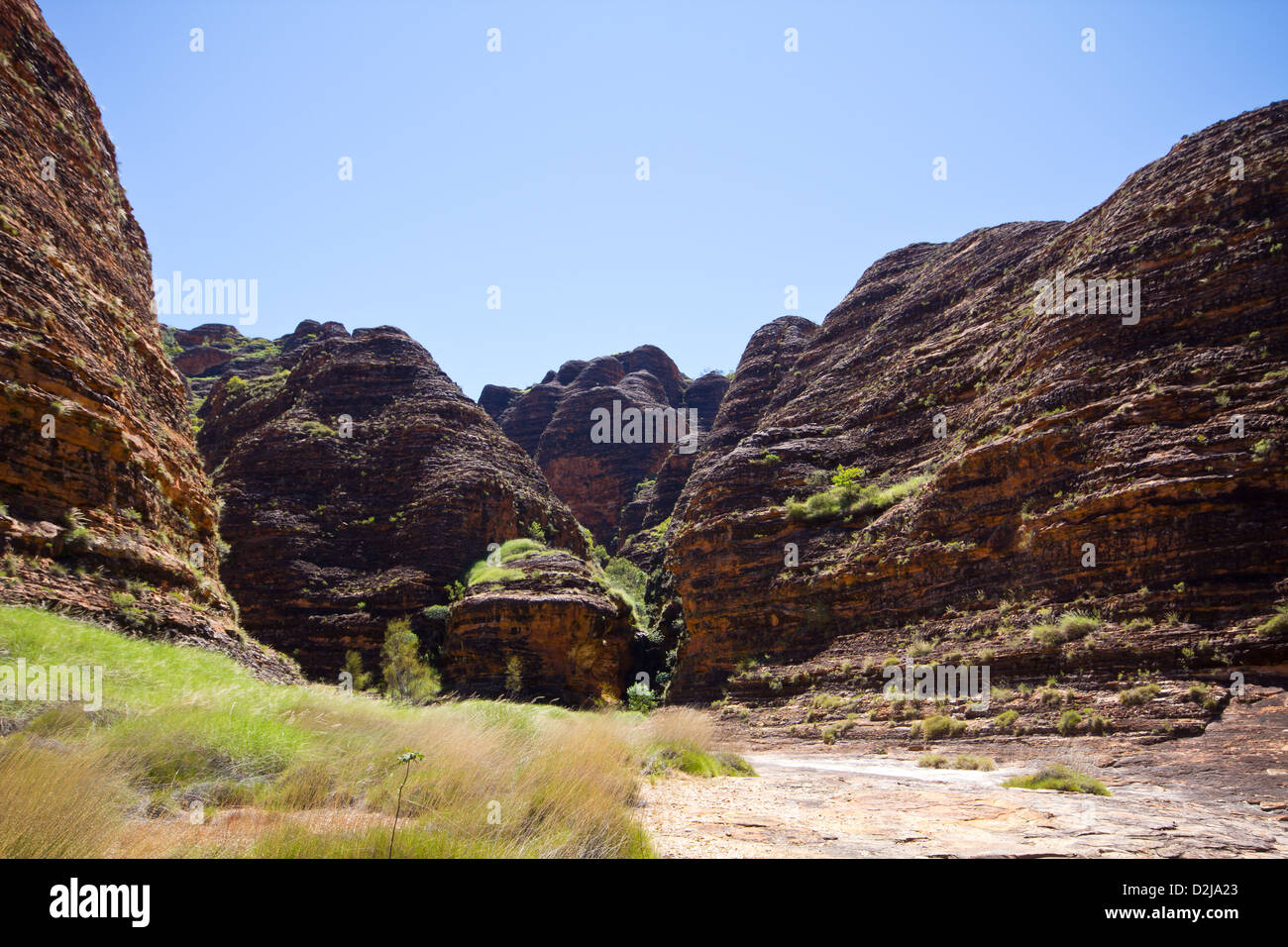Bungle Bungles, Australia Stock Photo - Alamy