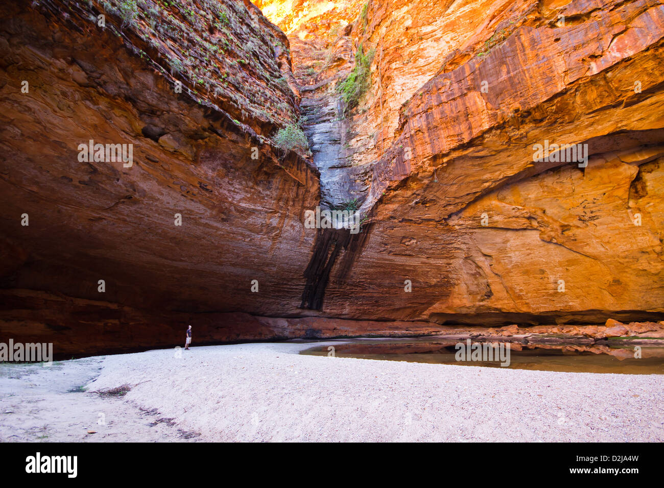 Bungle Bungles, Australia Stock Photo - Alamy