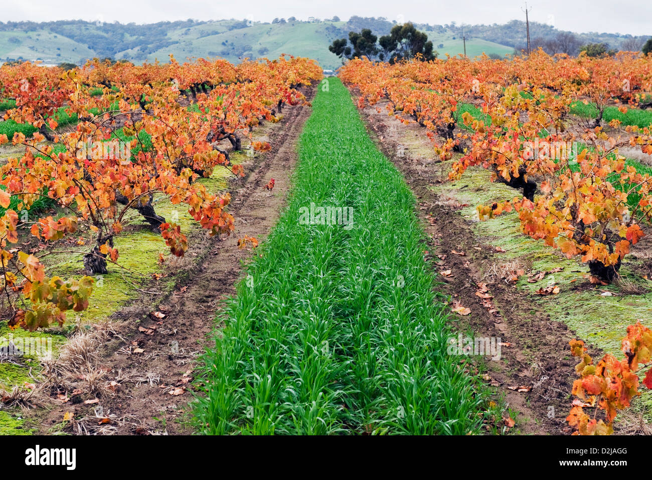 Alternating crops hi-res stock photography and images - Alamy