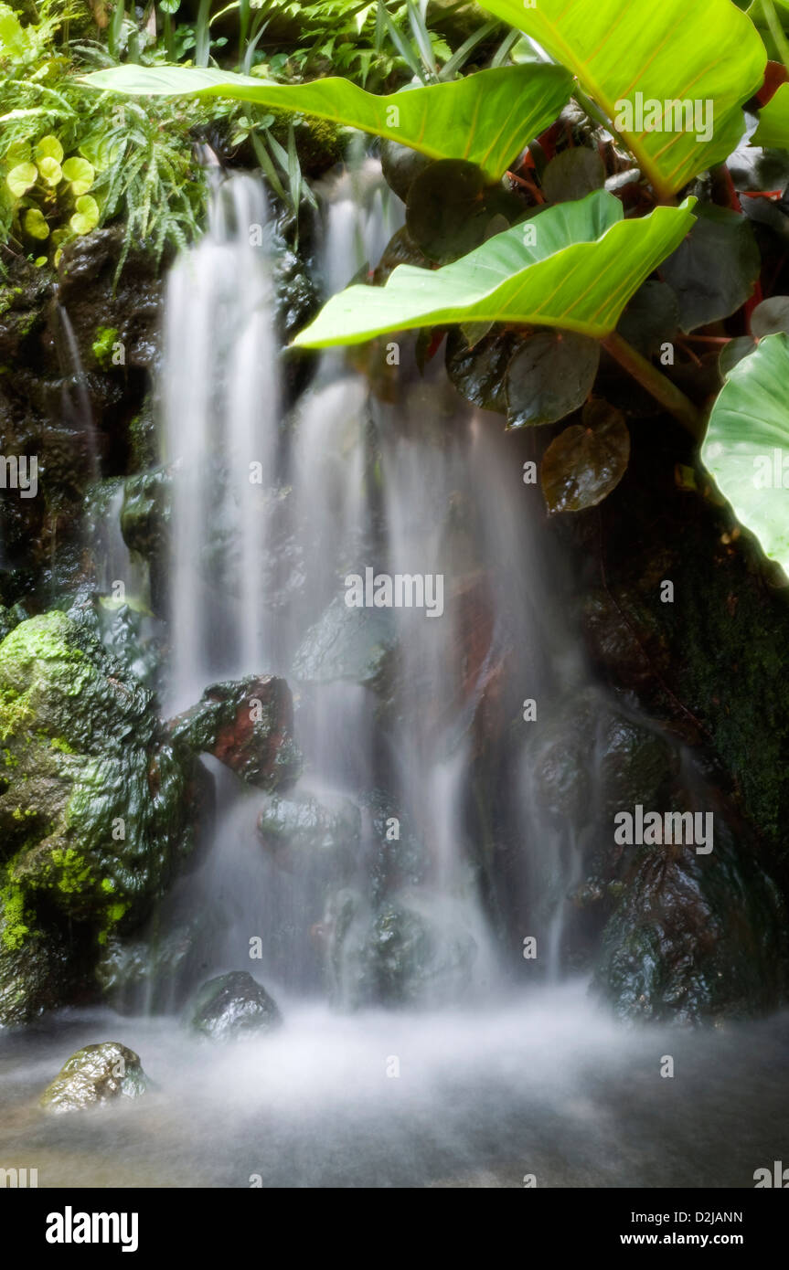 miniature fountain, botanic gardens, singapore Stock Photo - Alamy