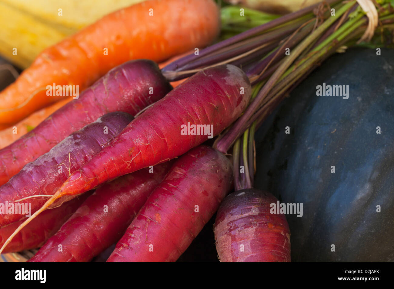 Heritage carrots and organic vegetables for healthy eating; british ...