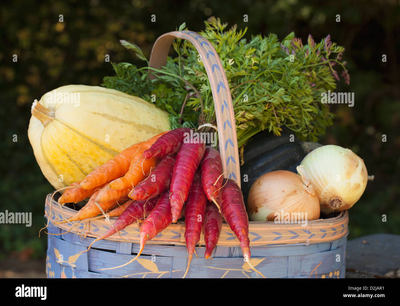 Organic vegetables from a farm on vancouver island; british columbia ...