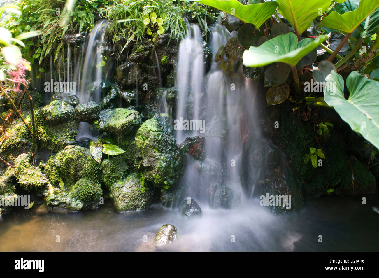 miniature fountain, botanic gardens, singapore Stock Photo - Alamy