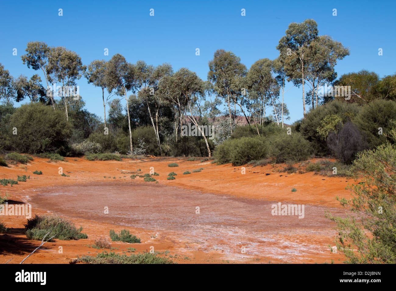 Alice springs desert park australia hi-res stock photography and images ...