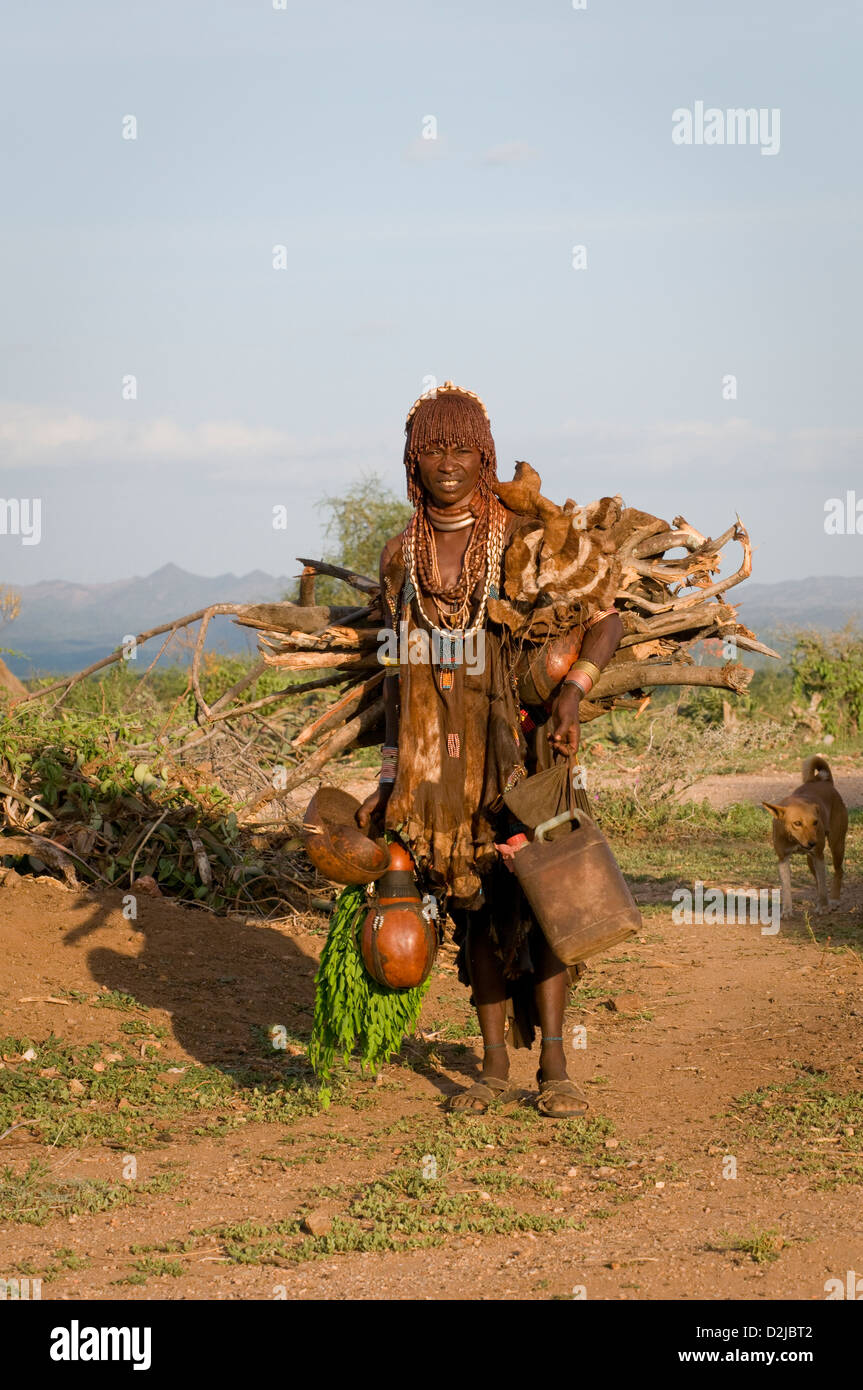 African gourds hi-res stock photography and images - Alamy