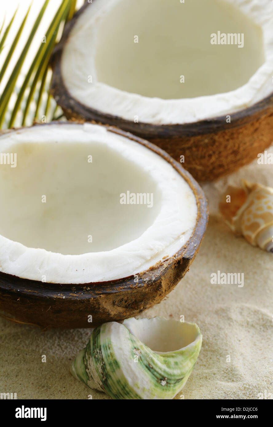 half a fresh coconut Stock Photo - Alamy