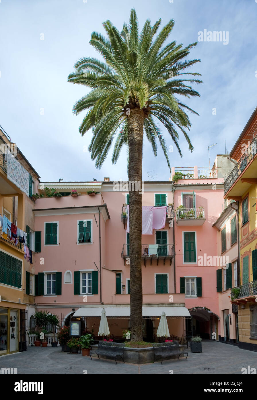 Loano, Italy, palm tree on a small square in the center of Loano Stock ...