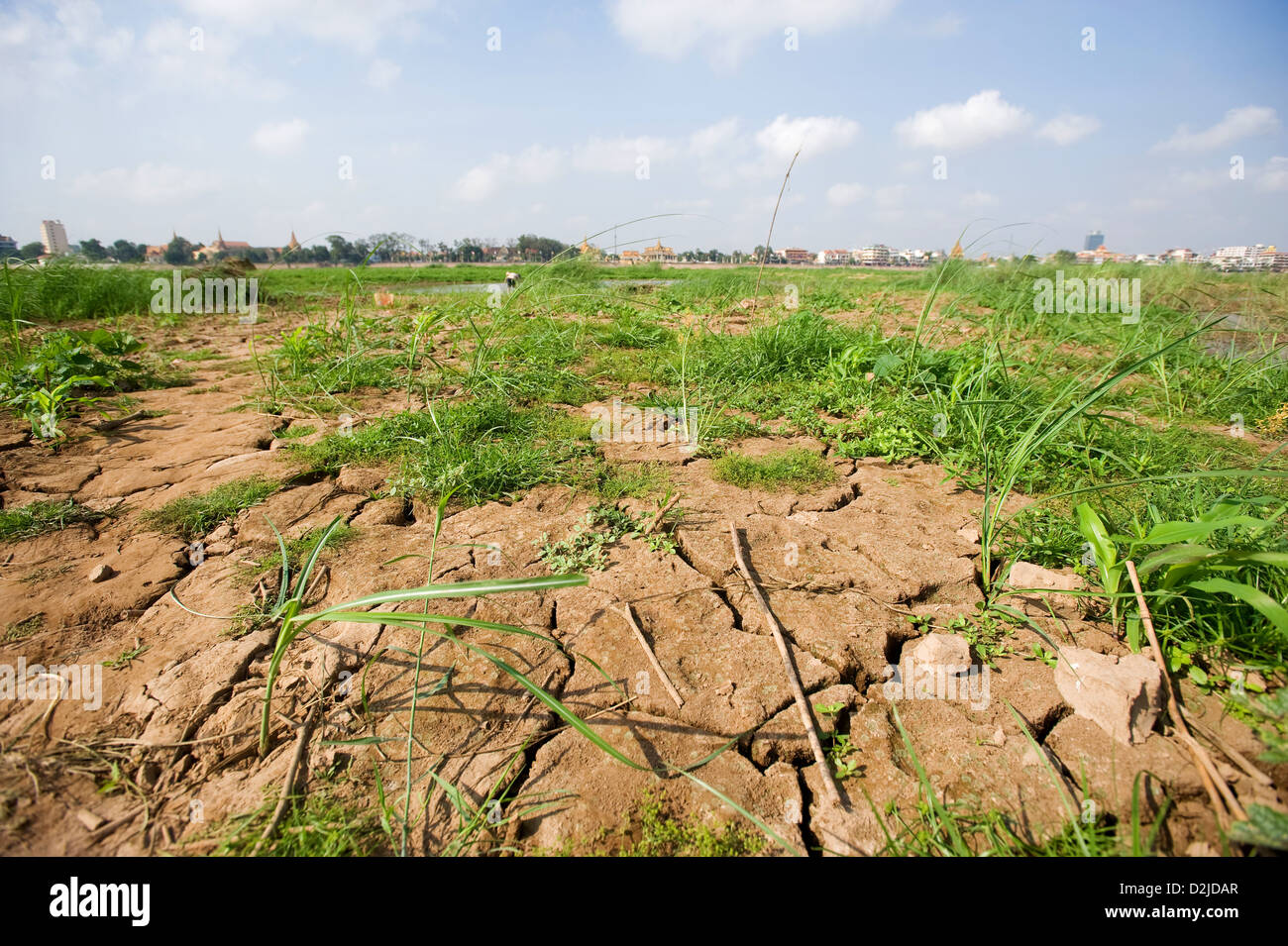 Phnom Penh, Cambodia, dried-up field Stock Photo - Alamy