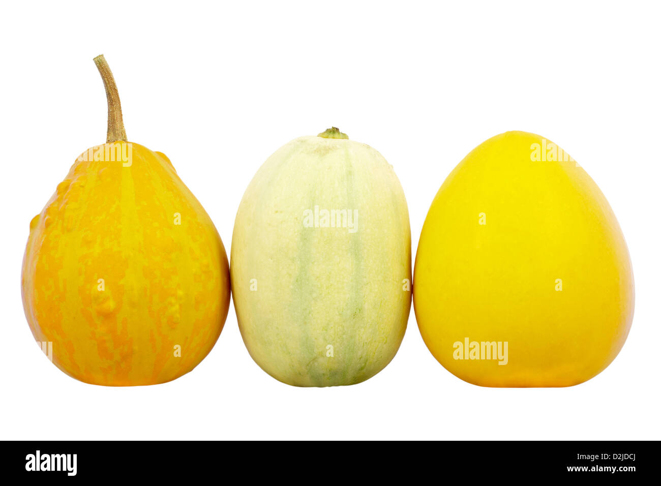 Three pumpkins isolated on a white background. Isolated with clipping ...