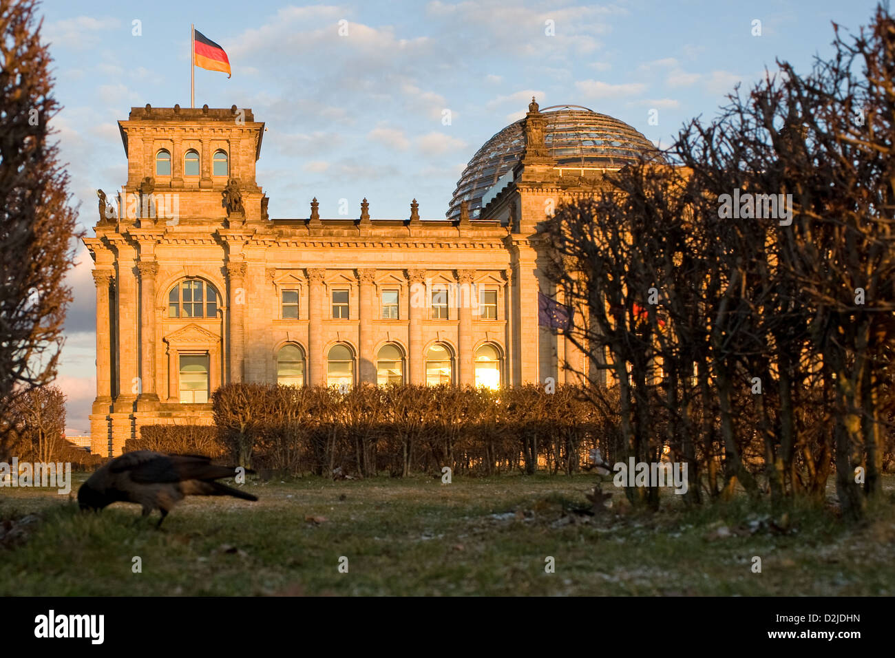Berlin, Germany, a raven eating on the lawn in front of the Reichstag ...